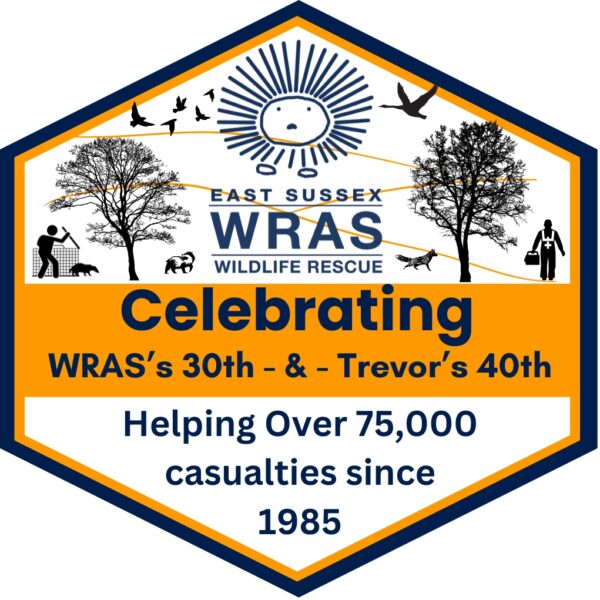 Anniversary Appeal 2025 - East Sussex WRAS