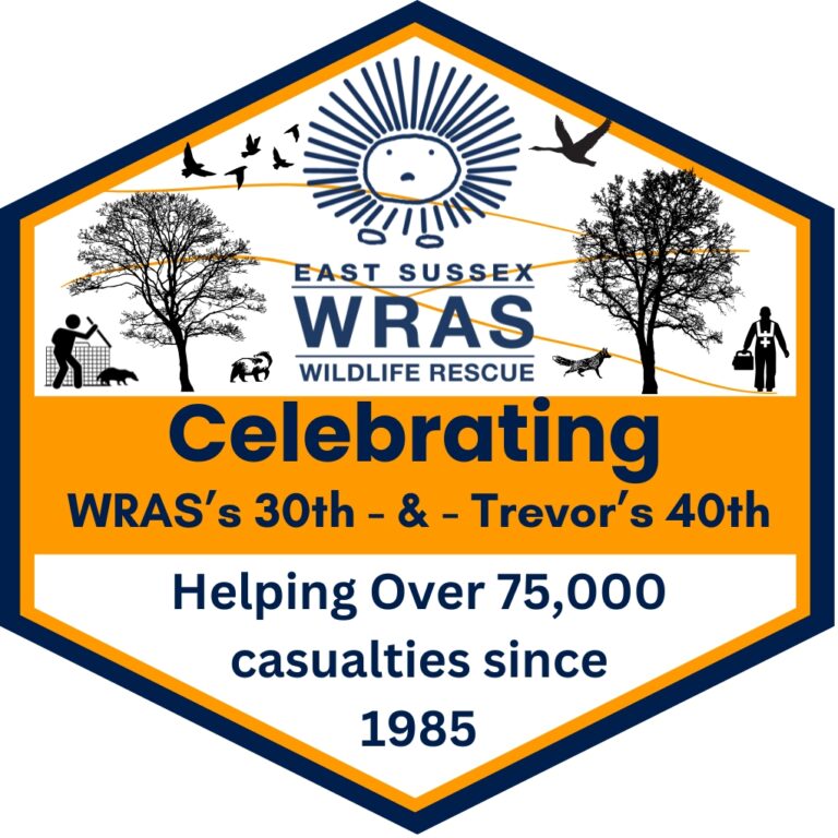 Anniversary Appeal 2025 - East Sussex WRAS
