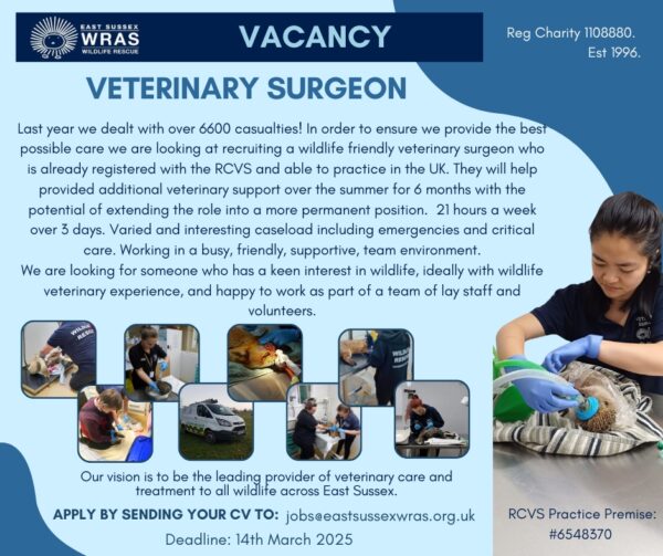 Vacancy - Veterinary Surgeon - East Sussex WRAS
