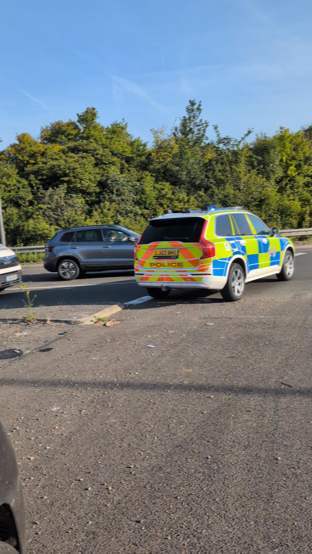Swan Rescued from A27 Roundabout and Safely Returned to the Wild - East ...