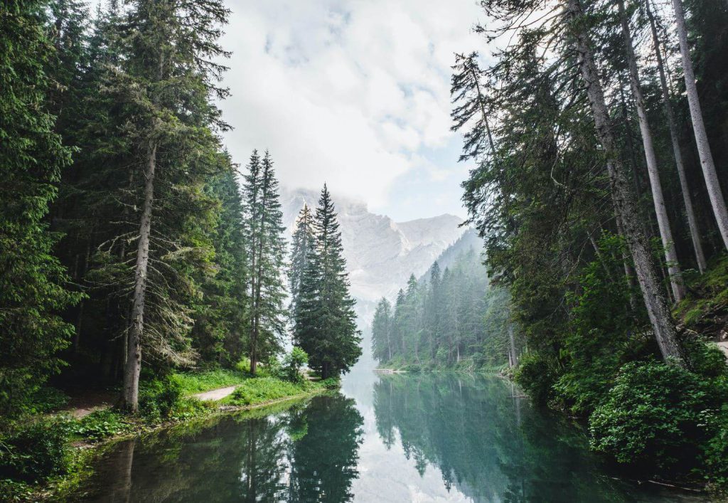 Sustainable Web Design: Our Pledge for a Greener Internet - MJS Media